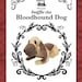 Bloodhound Dog - Plush Toy Dog Pattern - Etsy