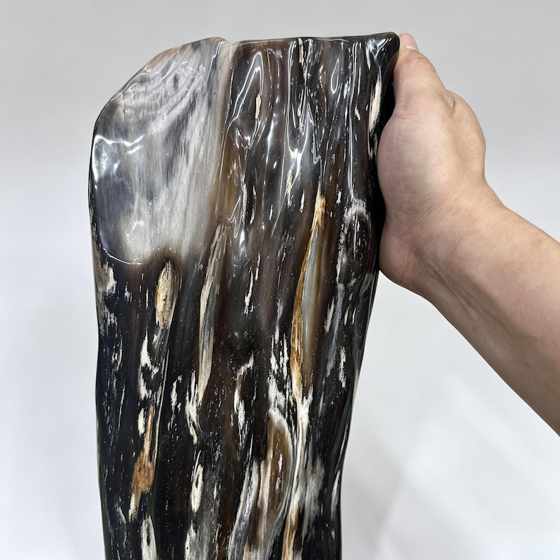 Polished Wood Fossil Specimen, Natural Stone Art Decor, Vintage Geology ...