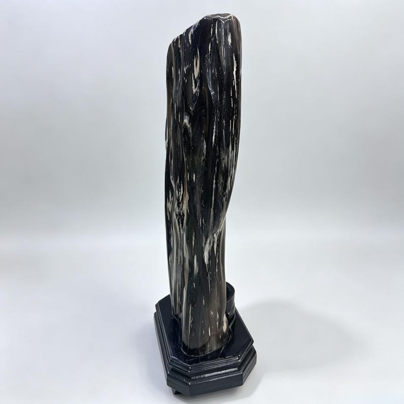 Polished Wood Fossil Specimen, Natural Stone Art Decor, Vintage Geology ...