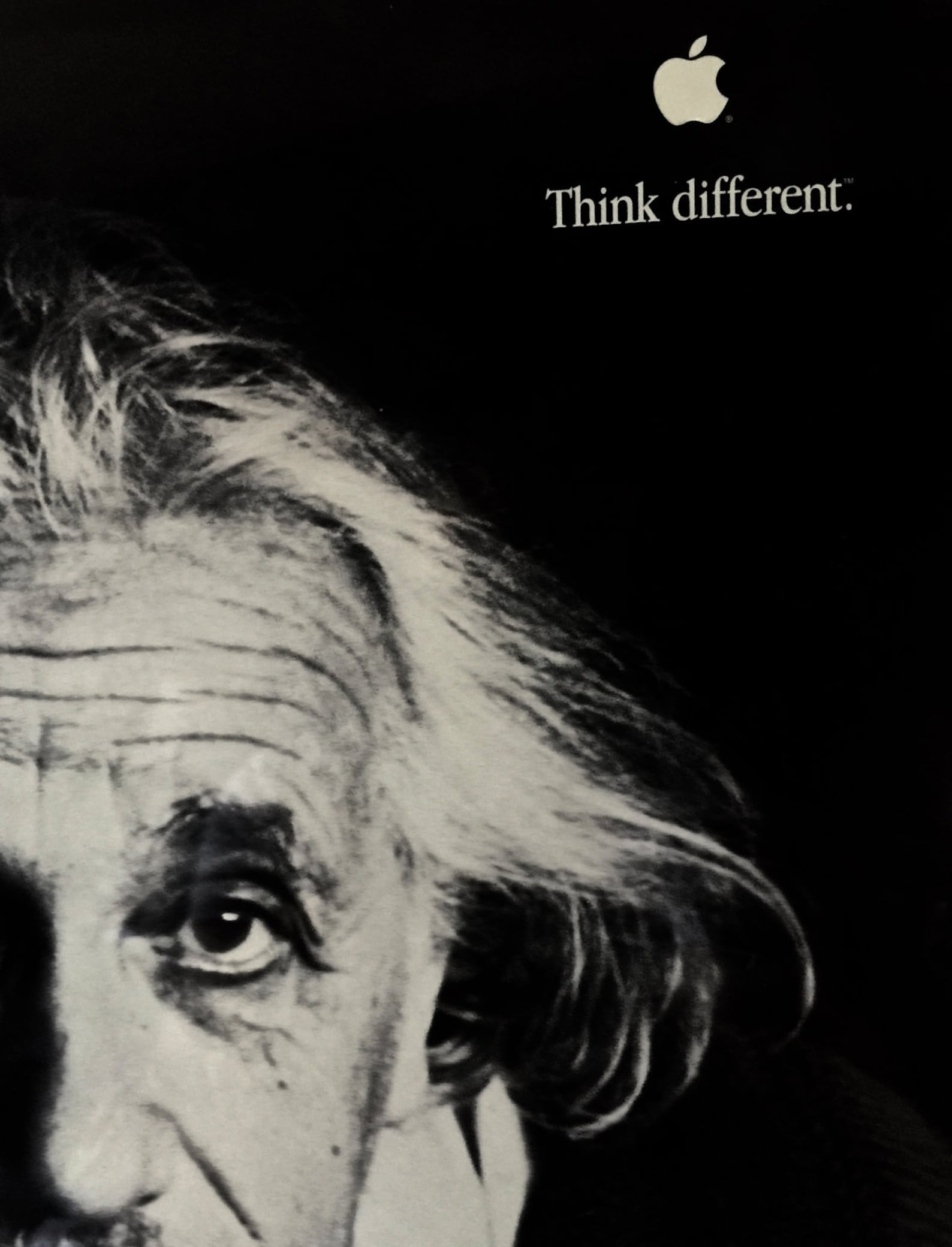 Original Apple Computer Albert Einstein Think Different Poster | Etsy