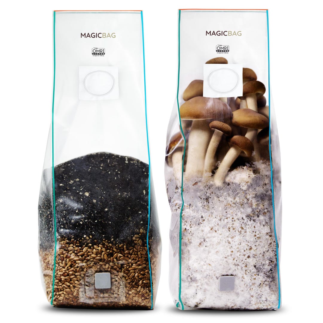 All-in-one Mushroom Grow Bag by Magic Bag | Guaranteed to Grow ...