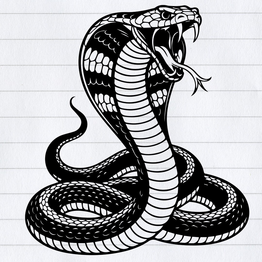Cobra Vector Illustration, Cobra Svg, Venomous Cobra, Cobra Png, Cobra ...