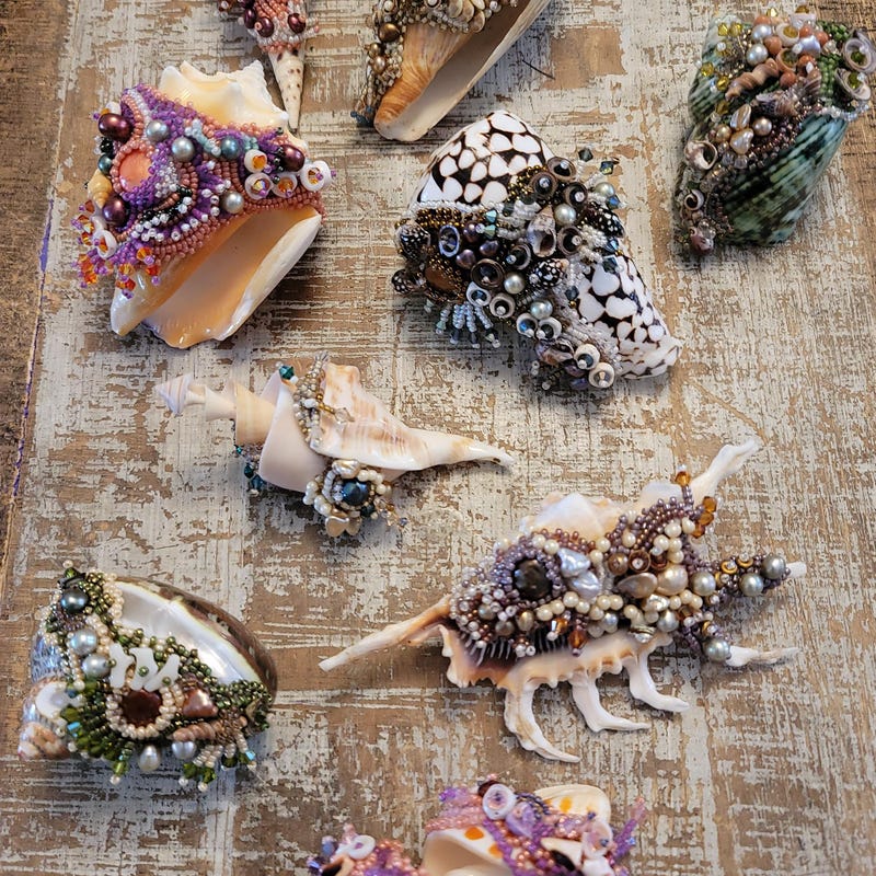 Shell Beads - Etsy