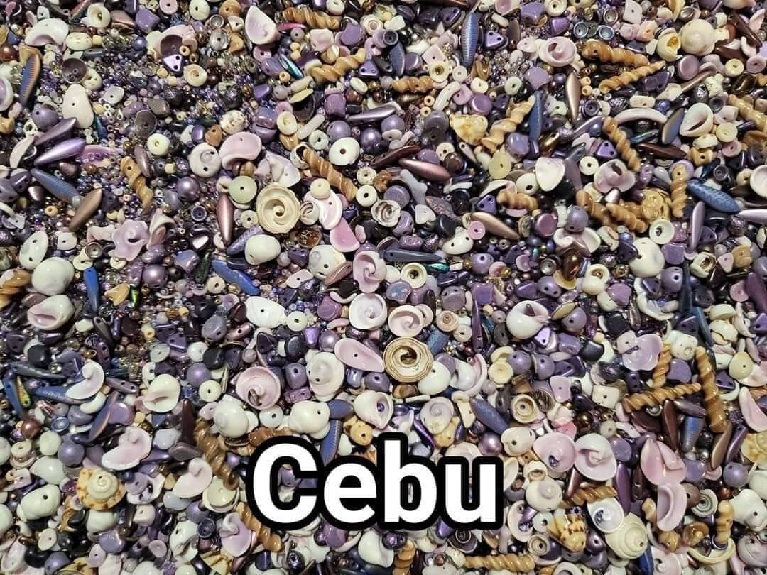 Cebu Shell Mix - Etsy