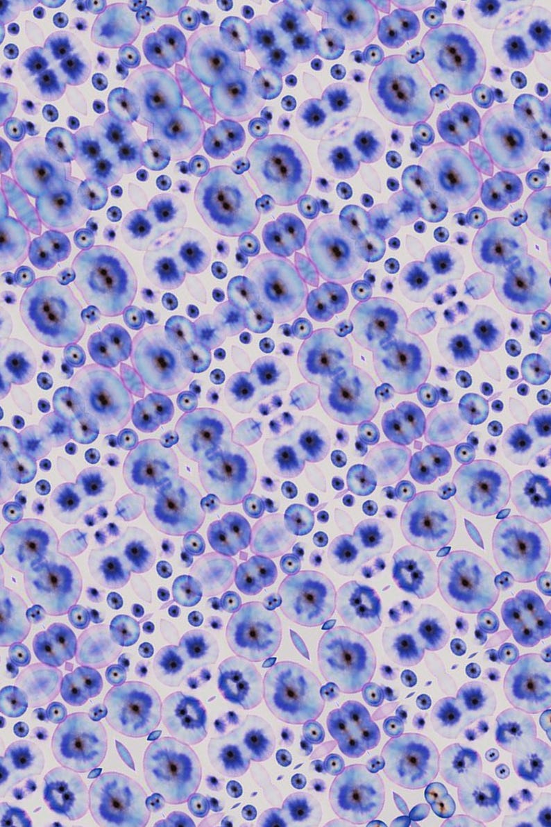 Blue Microbiology Seamless Pattern, Abstract Science Digital Paper ...