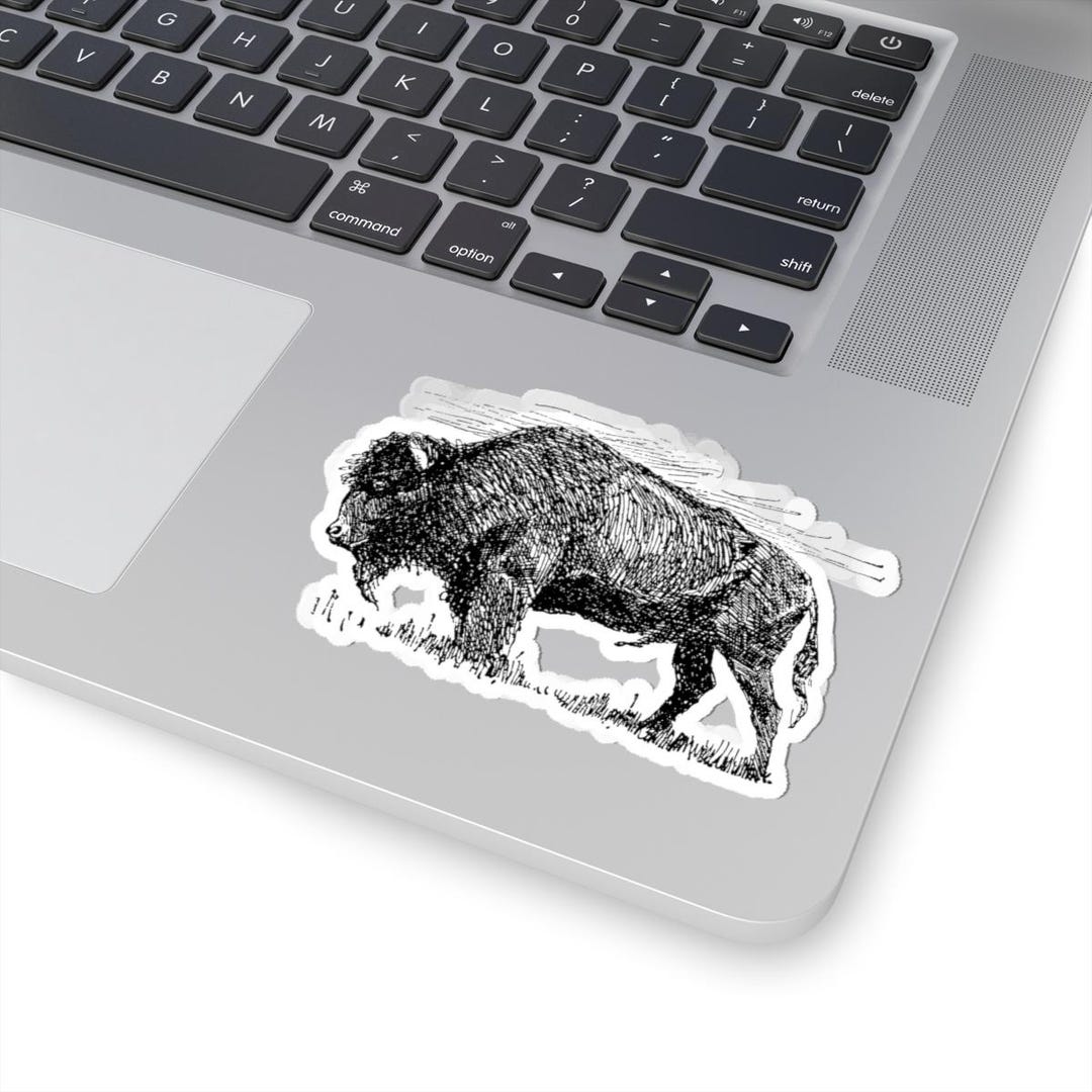 Vintage Hand-drawn Buffalo Kiss-cut Stickers | Buffalo Fan Sticker ...