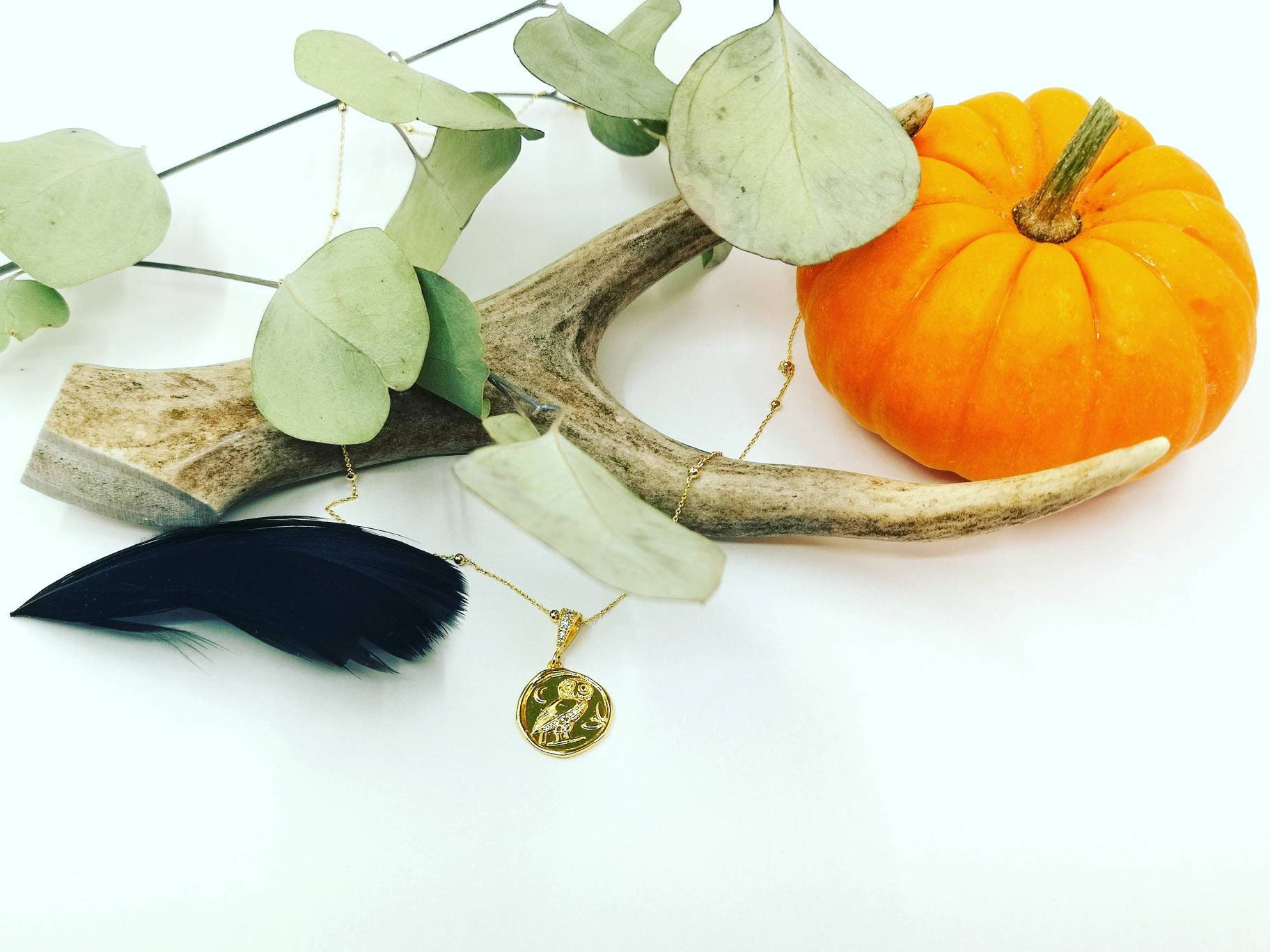 Owl Necklace, Gold Coin Owl Necklace, Athena Necklace, Nyx Necklace ...