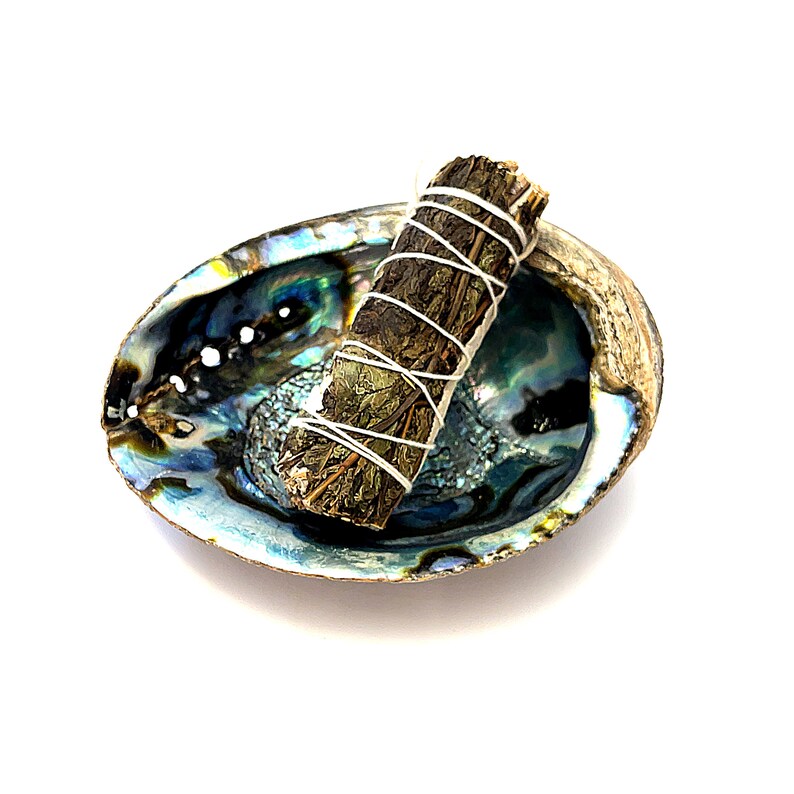 Abalone Shell Smudging Bowl Healing Stone Cleaning Alter - Etsy