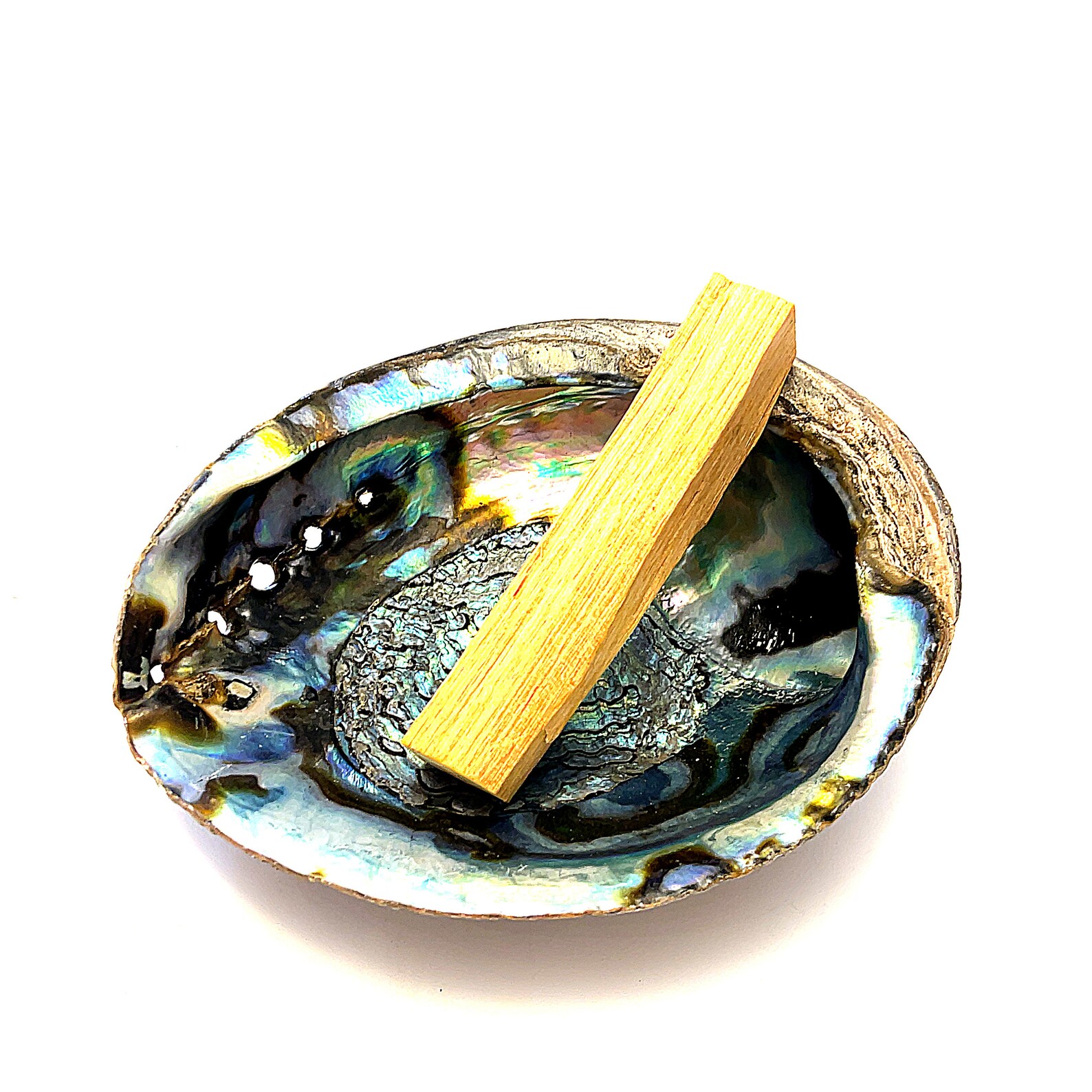 Abalone Shell Smudging Bowl: Healing Stone, Altar Decor - Etsy