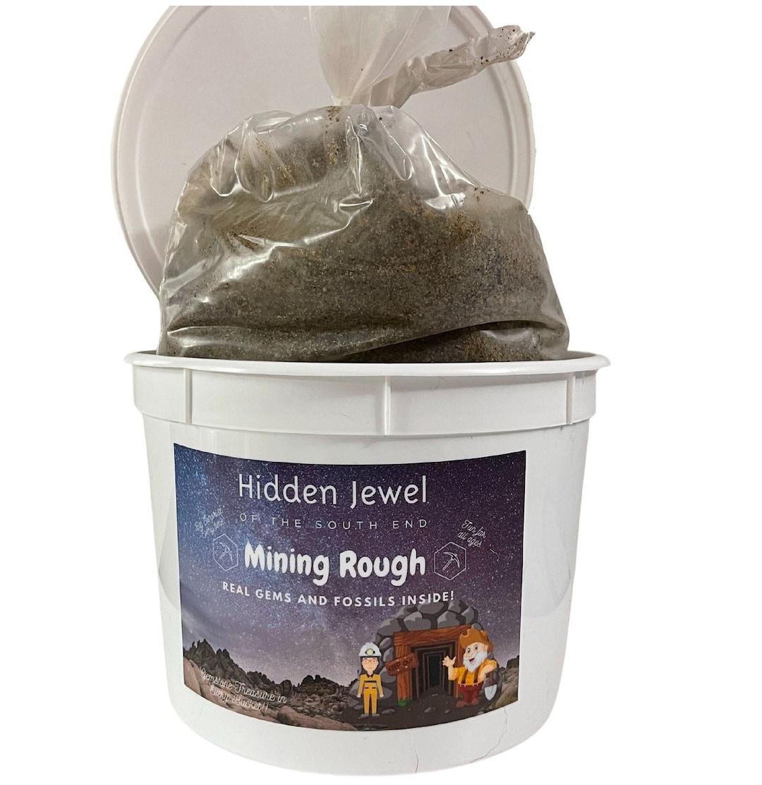 Gemstone Mining Surprise Bucket: Fossils, Amethyst, and More - Etsy
