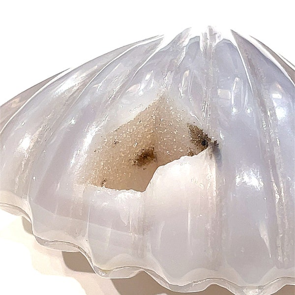 Clam Shell Beads - Etsy