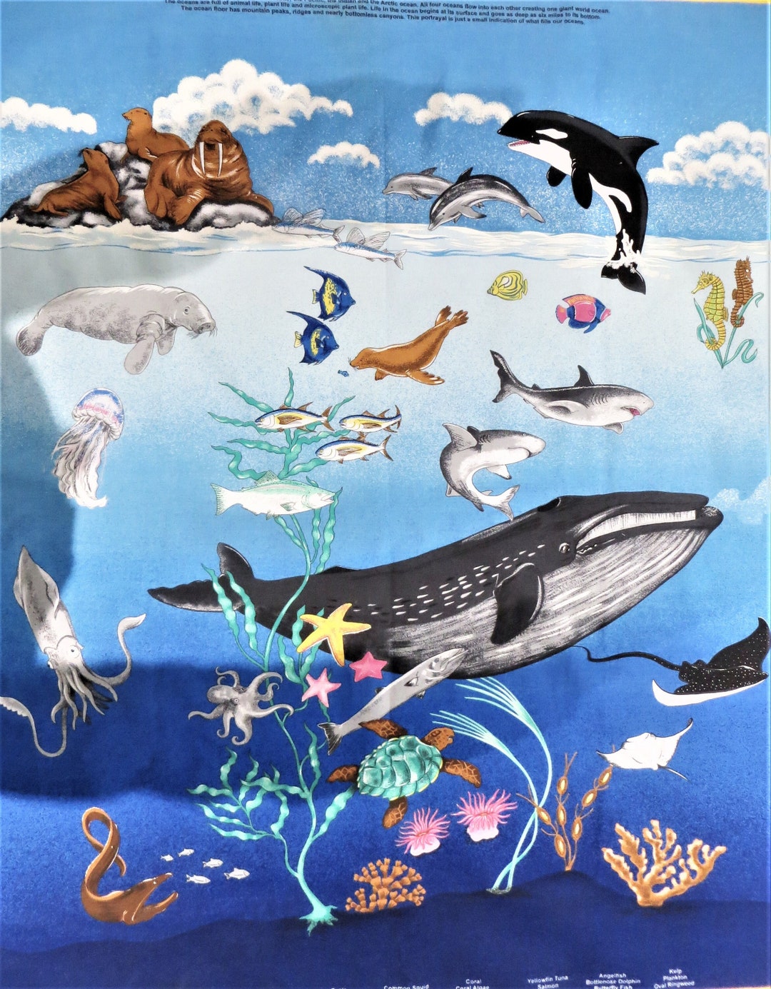 What’s in Our Oceans? Ocean Sealife Fabric Panel, Fabric Traditions, 35 ...