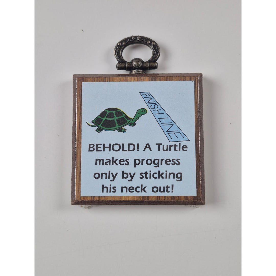 Vintage Woolworth Turtle Motivational Wood Wall Plaque Sticking His ...