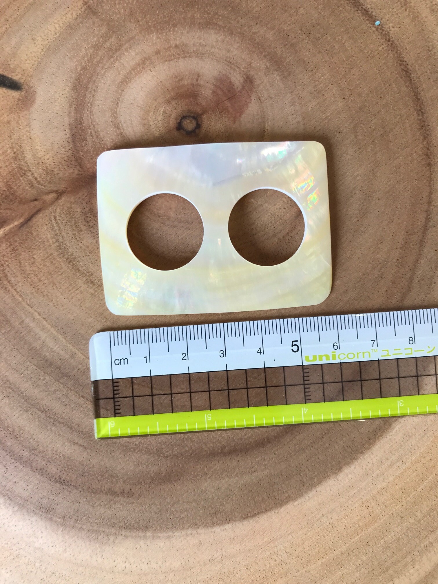 Shell Buckle Set of 2 - Etsy