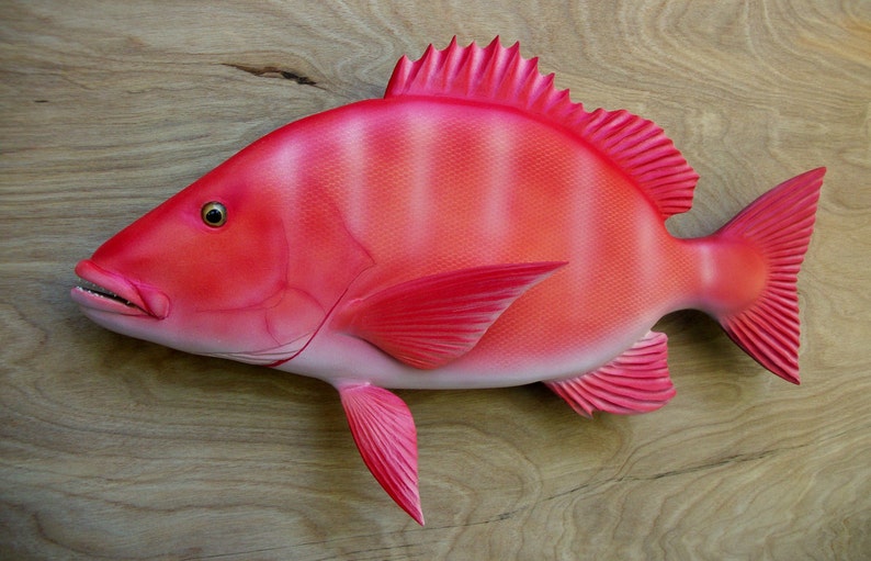 Red Snapper wood carving 16'' Red snapper art | Etsy