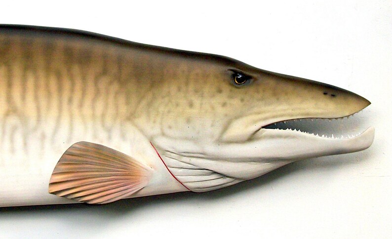 48 po. MUSQUÉ sculpture sur bois de Maskinongé poisson art | Etsy