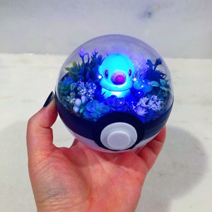 Popplio Light Terrarium Pokeball - Etsy