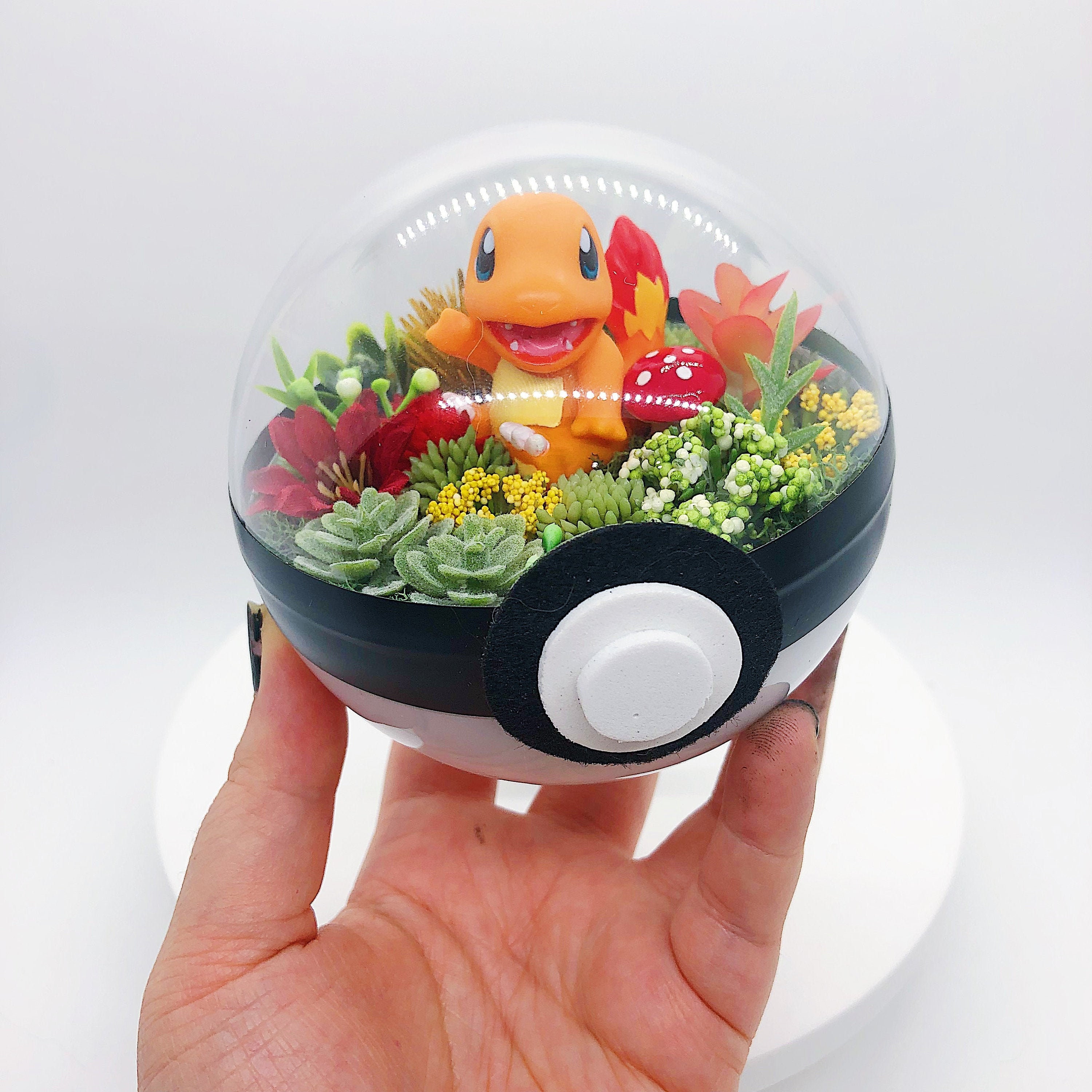 LIGHT UP Charmander Terrarium Pokeball - Etsy