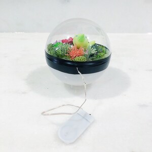 Celebi Light Terrarium Pokeball - Etsy