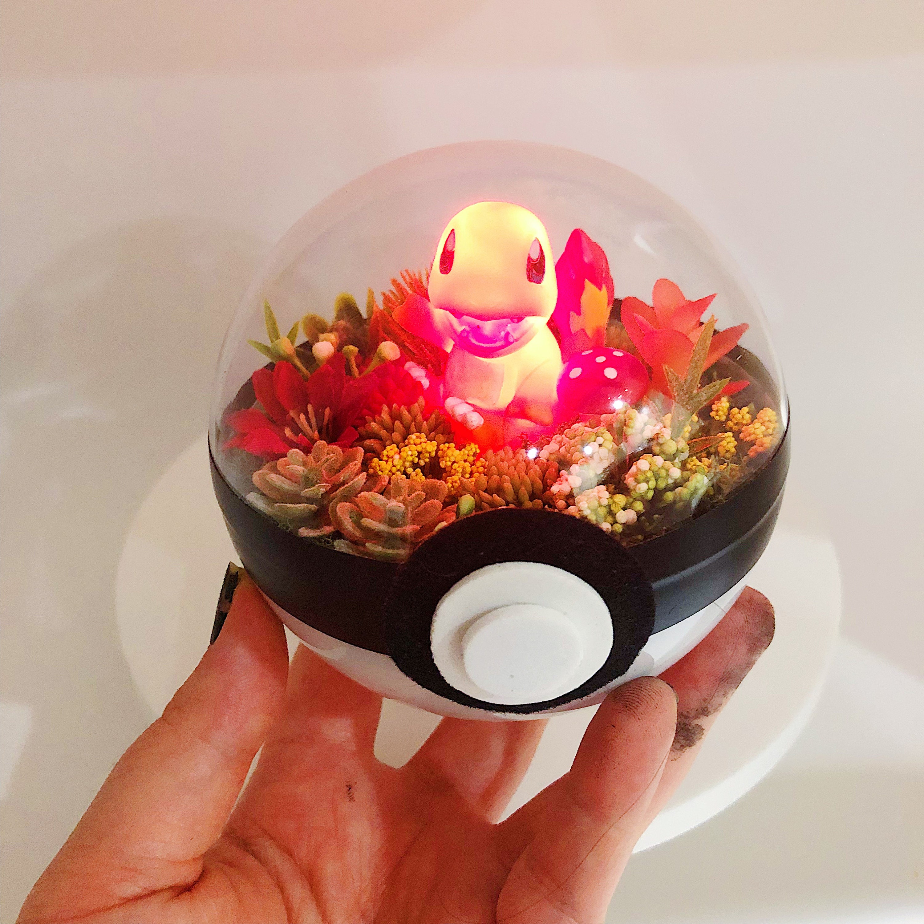 LIGHT UP Charmander Terrarium Pokeball - Etsy