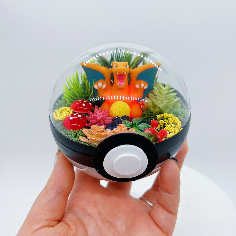 Charizard Light Terrarium Pokeball - Etsy