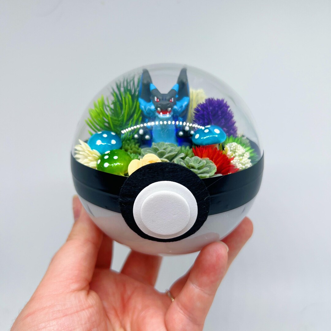 LIGHT UP Mega Charizard X Pokeball Terrarium - Etsy