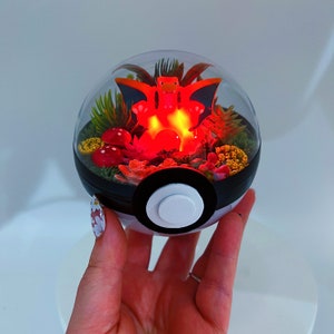Charizard Light Terrarium Pokeball - Etsy