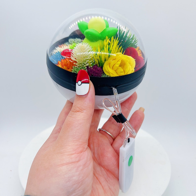 Smoliv Light Terrarium Pokeball - Etsy