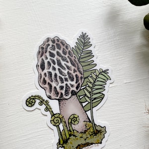 Morel Mushroom Sticker - Etsy