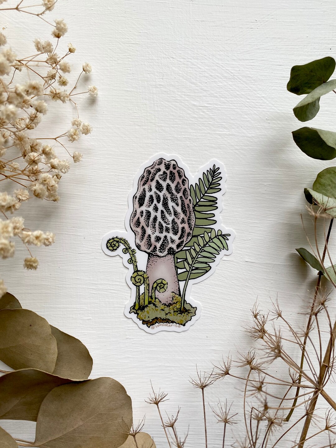 Morel Mushroom Sticker - Etsy