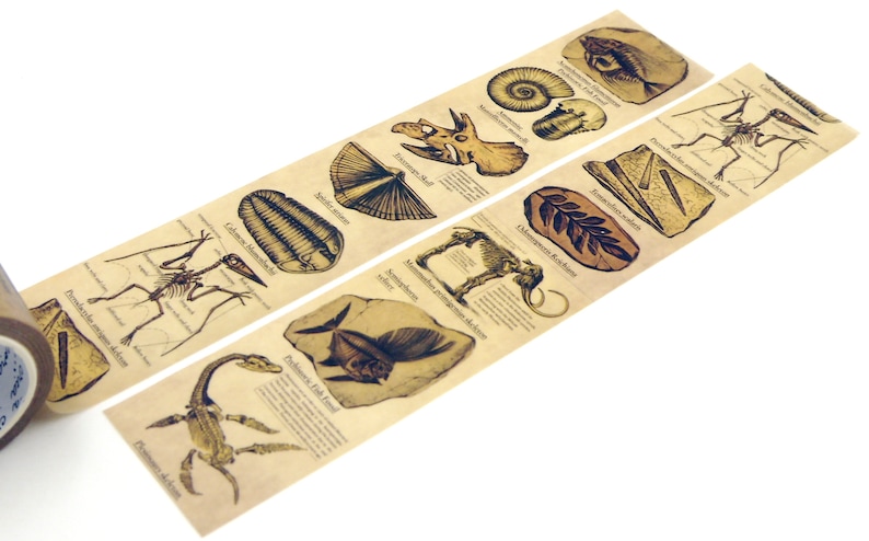 Fossil - Japanese Washi Masking Paper Tape - 40mm Wide - 7.6 Yard - Etsy