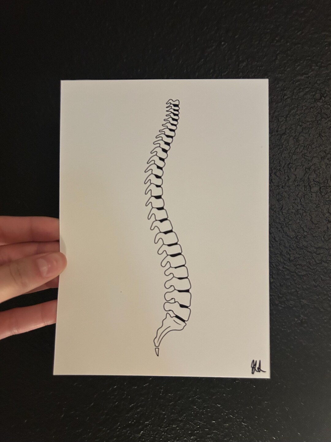 Realistic Hand Drawn Gothic Spine Bone Art Print - Etsy