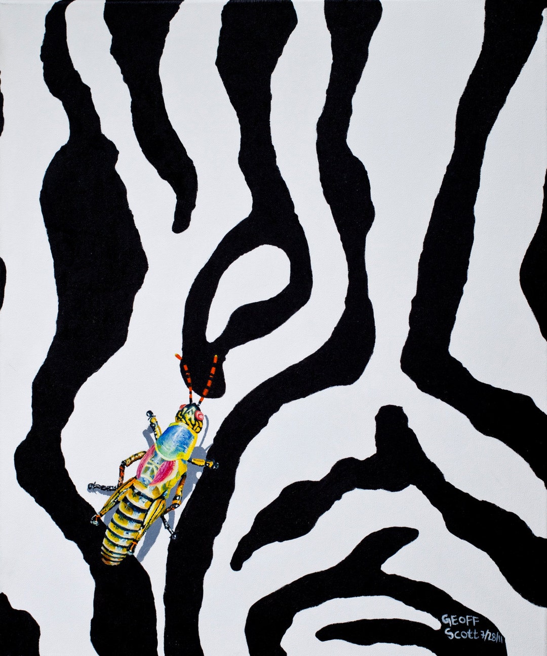 Grasshopper on a Zebra Print, 16.66 X 20 In - Etsy