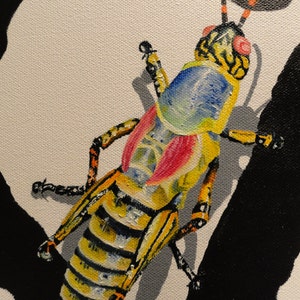 Grasshopper on a Zebra Print, 10 X 12 In - Etsy