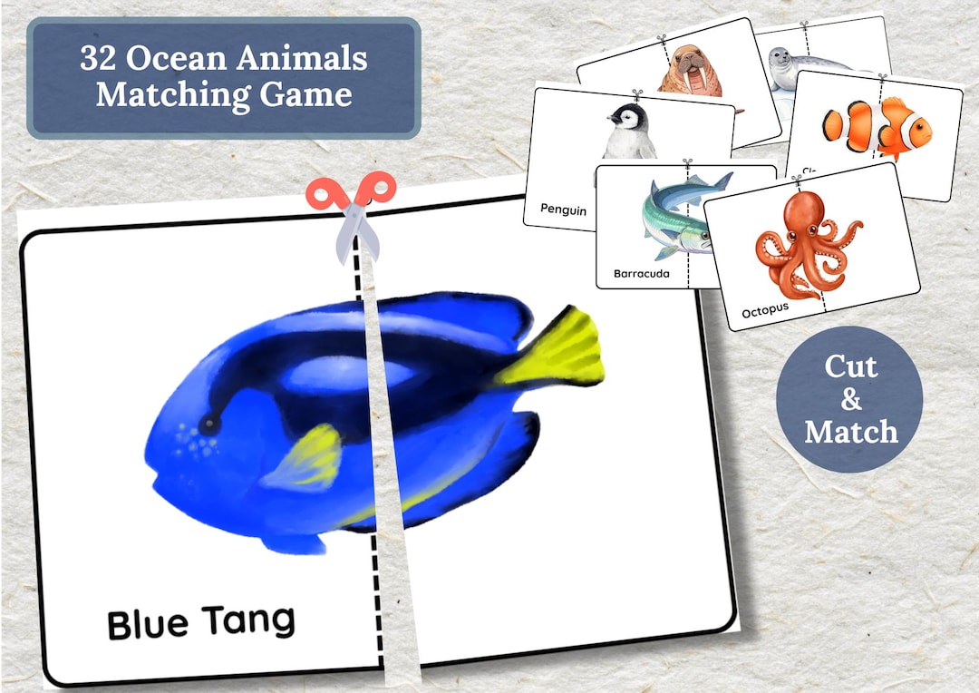 Ocean Animals Symmetry Puzzles, Matching Game, Toddler Preschool ...