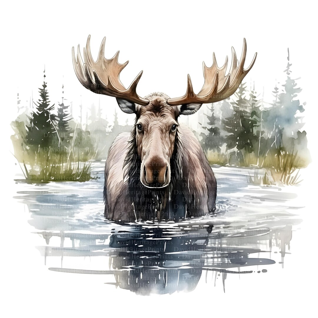 Watercolor Moose Clipart, Swamp Landscape, Nature Art (digital Download ...