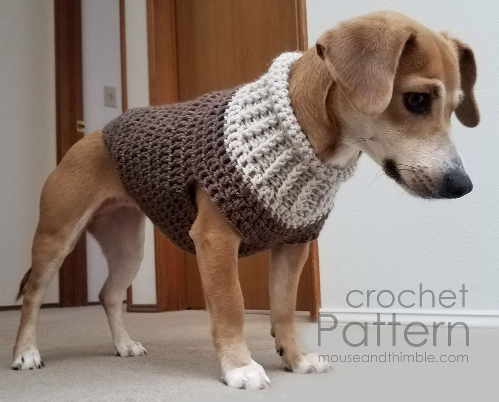 Easy Dog Sweater Crochet PATTERN Seamless Earhart Bomber - Etsy