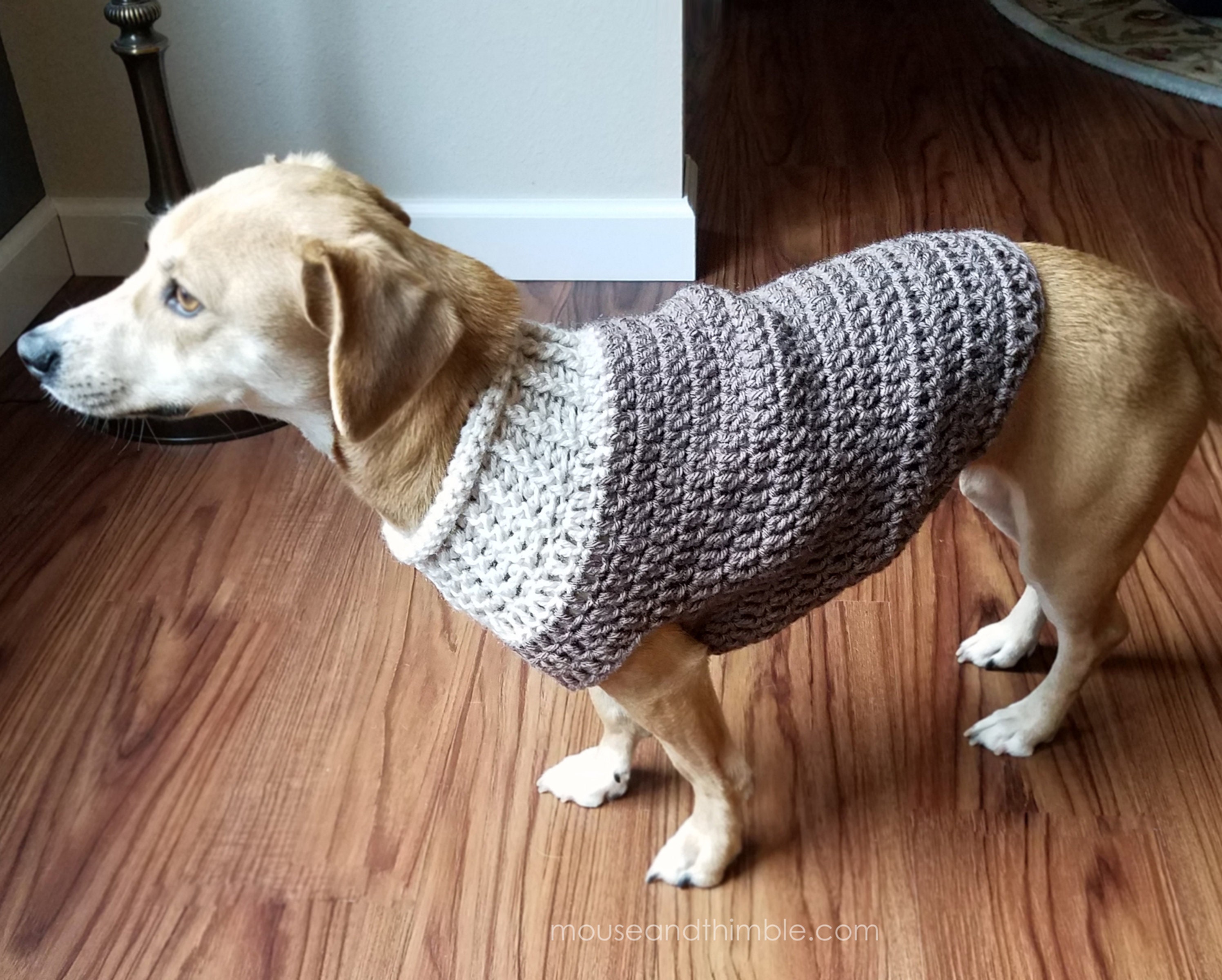 Easy Dog Sweater Crochet PATTERN Seamless Earhart Bomber | Etsy