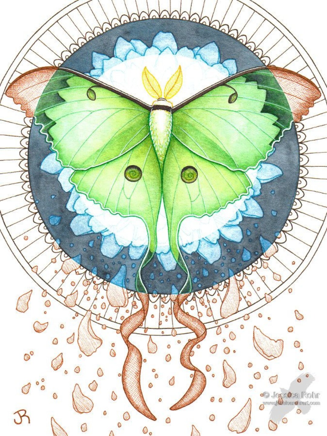 Surreal Art Print Moondrops 5x7 Open Edition Print Fantasy Surreal Moth ...