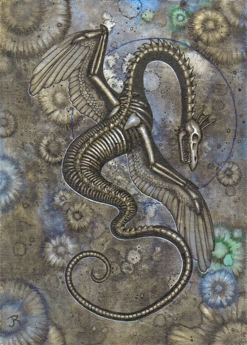 Fantasy Art Prints Fossil Set 5x7 Open Edition Prints | Etsy