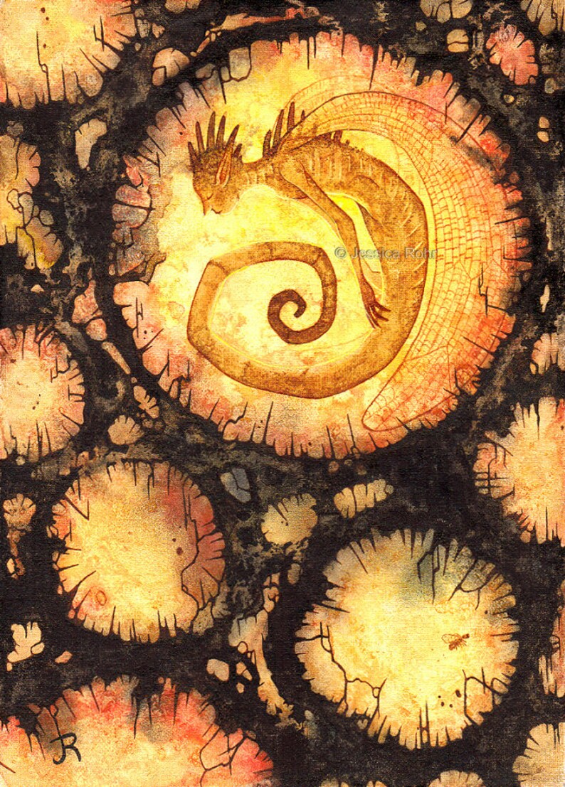 Fantasy Art Prints Fossil Set 5x7 Open Edition Prints | Etsy