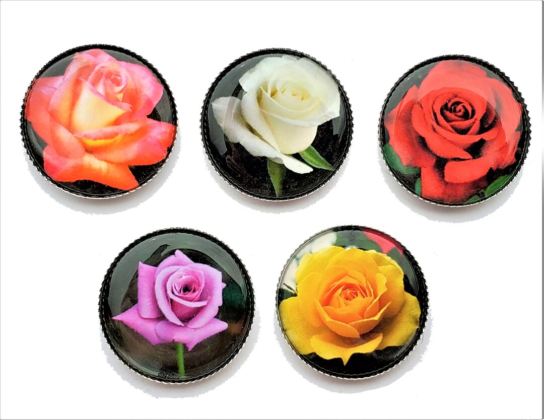 Colorful Roses Magnet Set of 5 - Etsy
