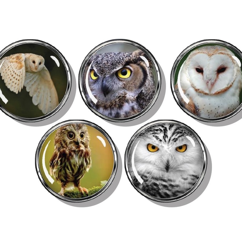 Owl Magnets - Etsy