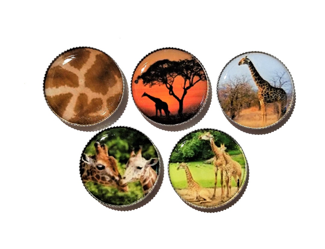 Giraffe Fridge Magnets, African Safari Animals, Set/5 - Etsy