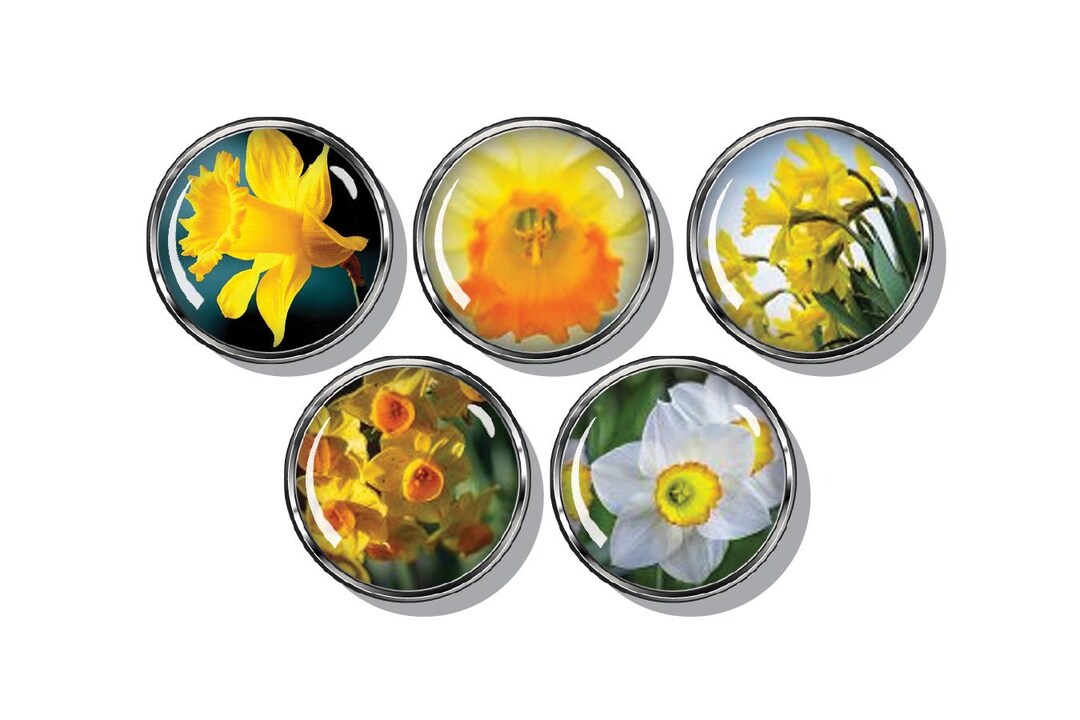 Daffodil Magnets: Yellow Flower Fridge Magnets, Set of 5 - Etsy