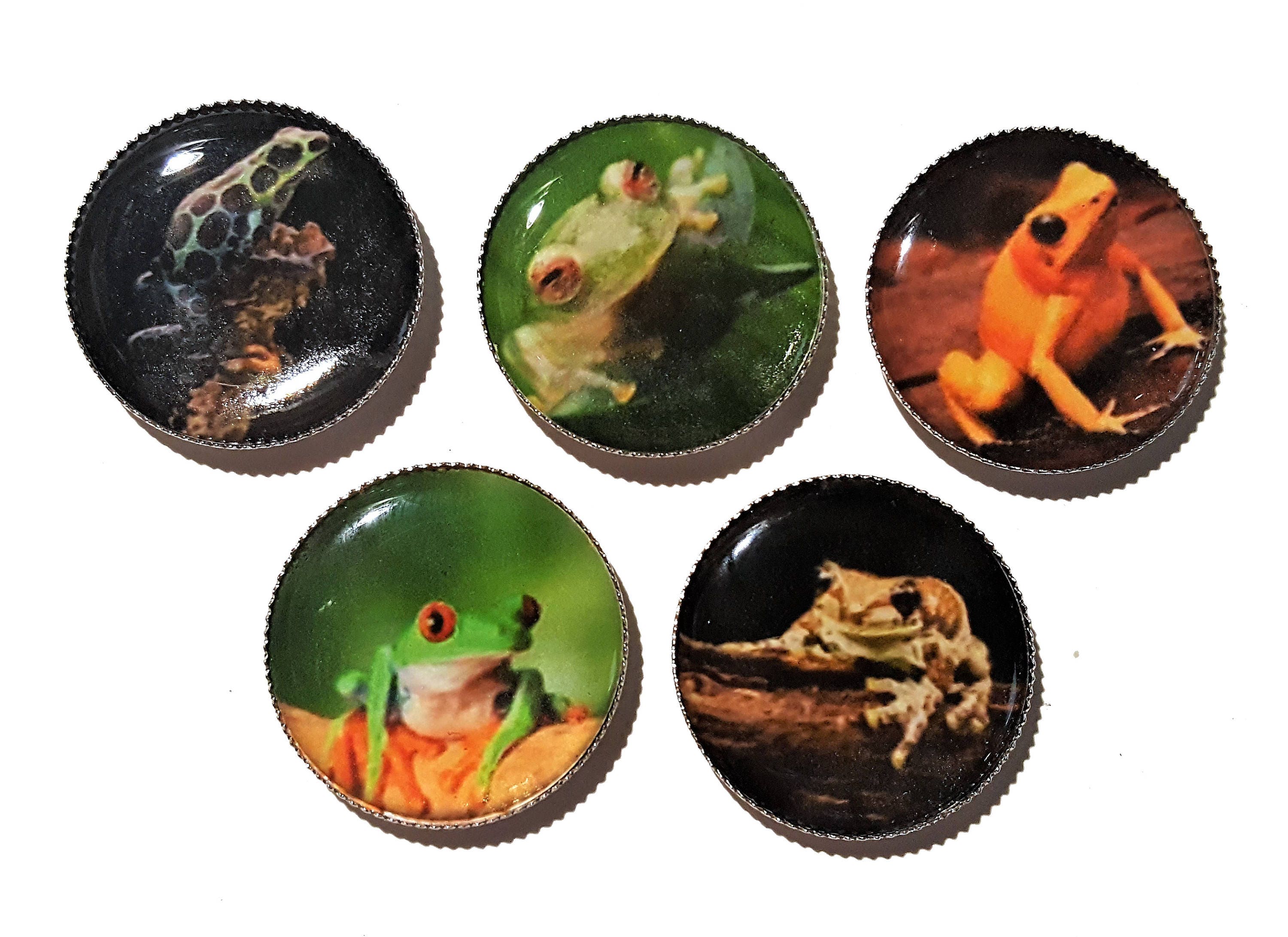 Frogs magnet set | Etsy
