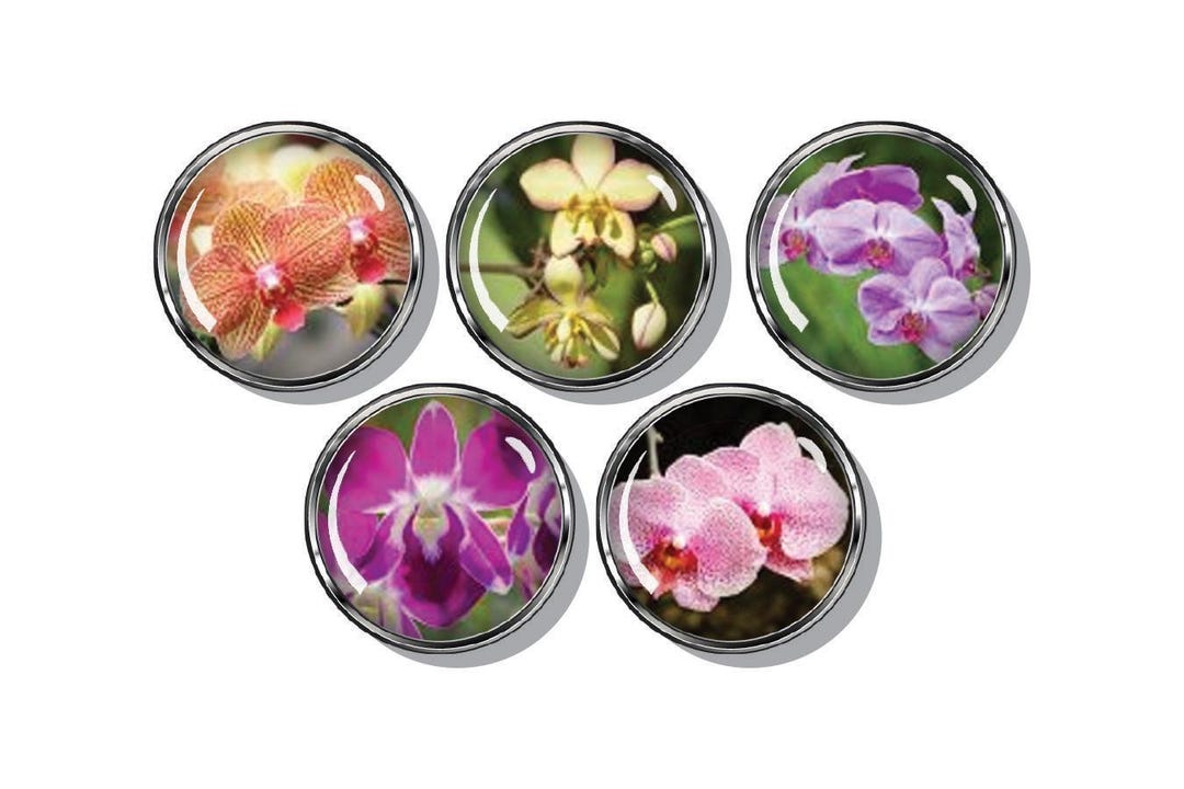Orchid Flower Magnets: Colorful Fridge Magnets, Set of 5 - Etsy