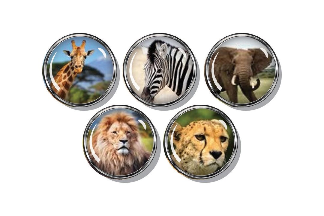 African Animals' Magnets, Lion, Elephant, Giraffe, Zebra, Cheetah, Set ...