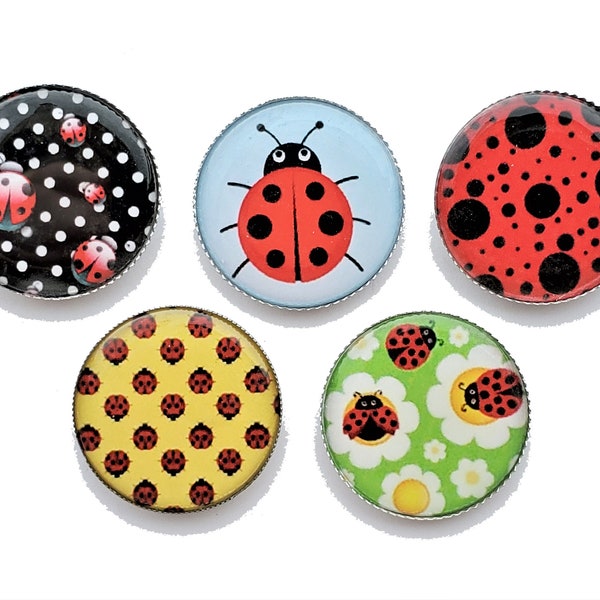Ladybug Magnet - Etsy