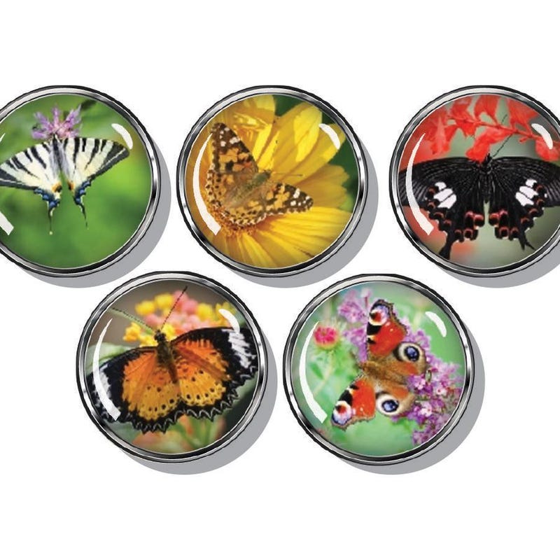 3d Butterflies Magnets - Etsy